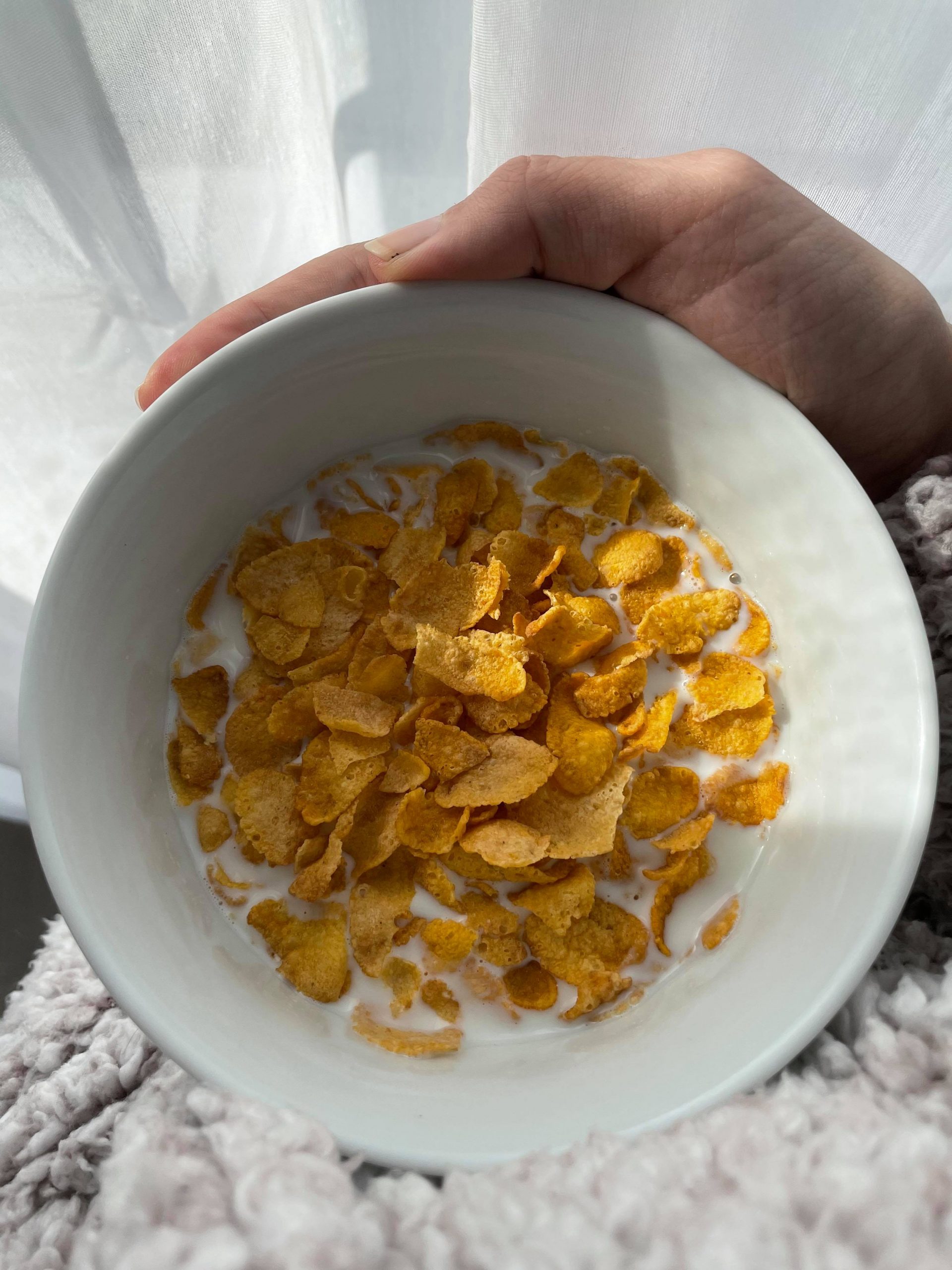 A Classic: The Philosophy of Cornflakes - Libyan Wanderer